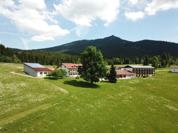 Osserhotel - B&b Am Osser - Lam
