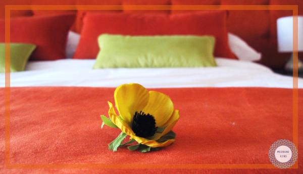 Medrano Kind - Buenos Aires