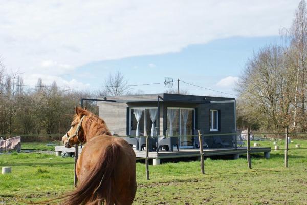 Cottage Tout Confort Au Milieu Des Chevaux - Saint-Fargeau