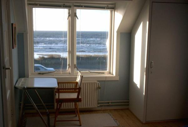 Zeeduin - Fantastisch Uitzicht Op Zee - Schoorl