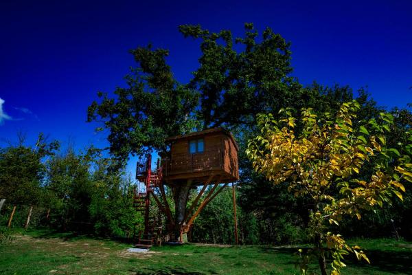 Casa Sull'albero Bocchineri - Belsito