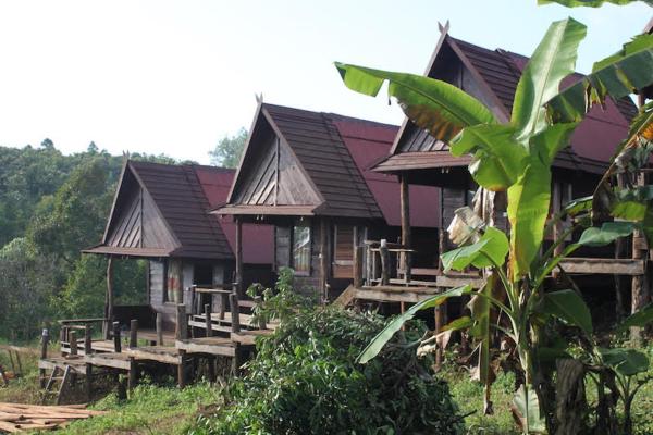 Tree Lodge - Cambodia