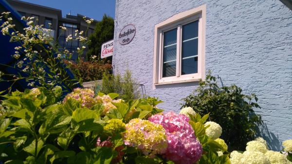 Pension Elisabeth - Rooms & Apartments - Salzbourg