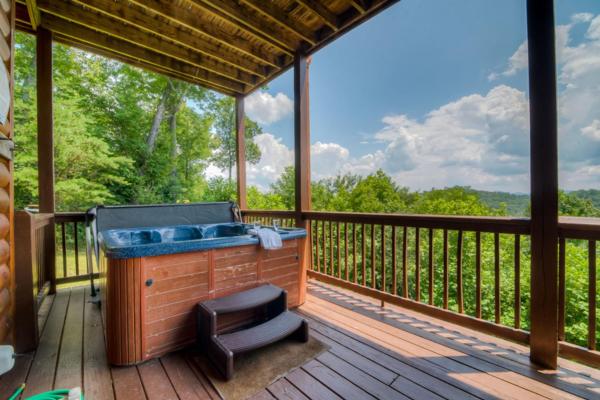 Treetops- Pet Friendly Master On Main 5 Minutes From Downtown Blue Ridge - Blue Ridge, GA