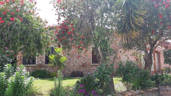 Agriturismo Pingitore - Rose