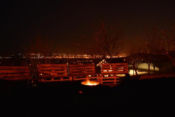 Zen Garden - Oradea