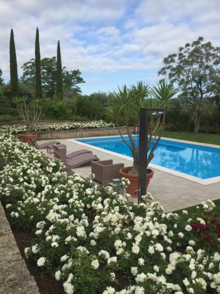 Villa Cecalina - Civitanova Marche