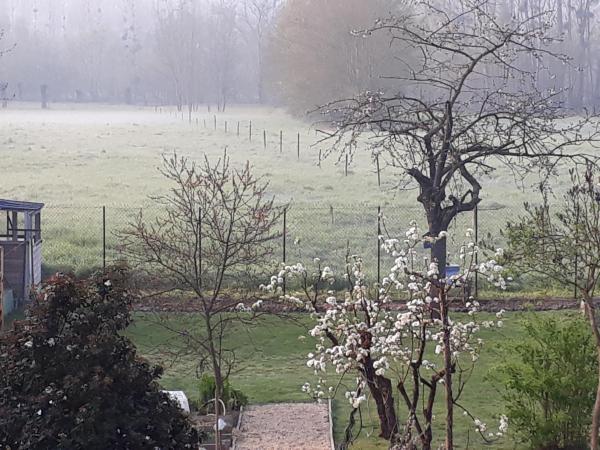 Bedloire - Ancenis