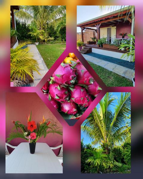 Les Cottages De Roseau - Guadeloupe
