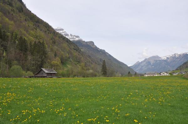 Ferienwohnungen Alter Raaben - Laax