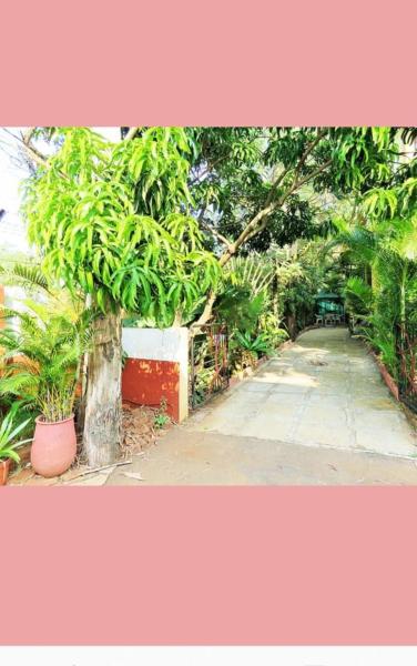 Tranquil Dreams - Lonavla