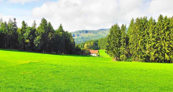 Ferienhaus Ramersdorf - Sankt Englmar