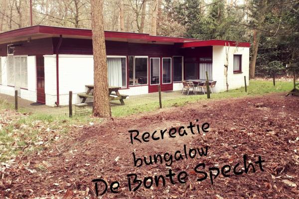 Bonte Specht - Wageningen