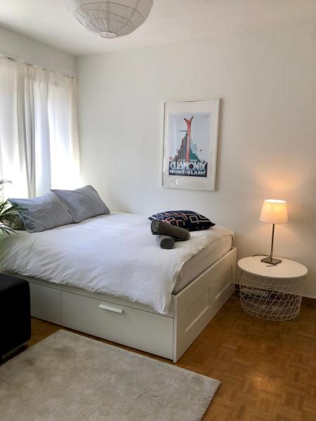 Spacious Studio In Central Geneva - Geneva