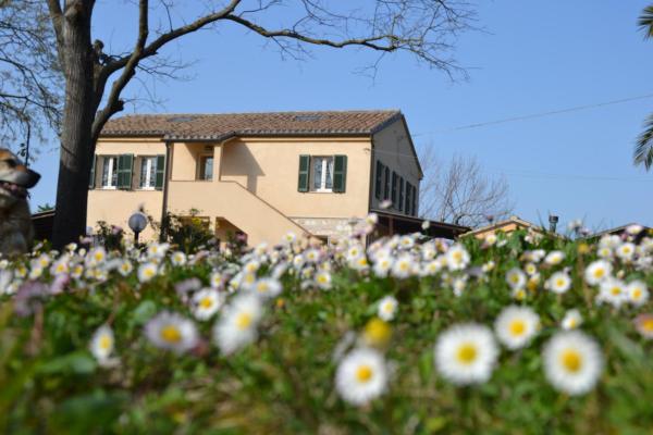 Il Mandorlo - Agriturismo E Azienda Agricola Ferrato - Ancona