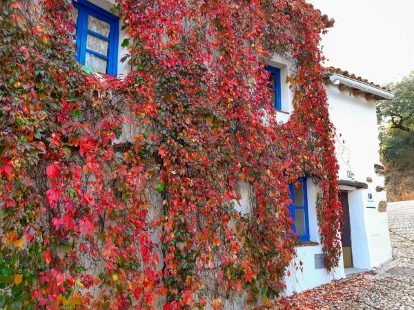 Casita Collado 1 - Alájar