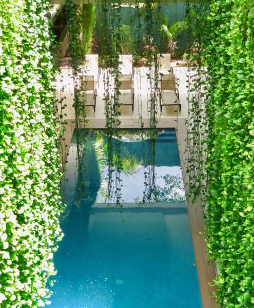 Palmarena Rooms & Residences - Long Stay Comfort With Parking, Sauna, Gym & Pool - Steps From 5th Avenue - Riviera Maya