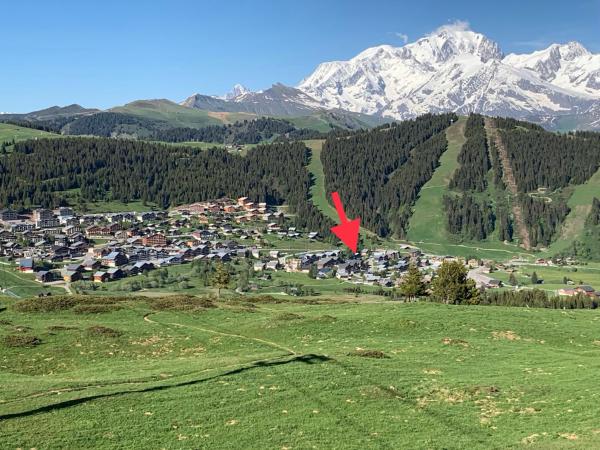 Appartement Plein Sud Aux Saisies N3 - Lac des Evettes