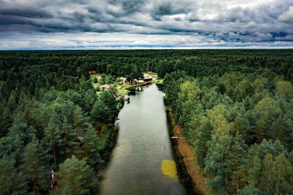 Pidula Forell - Estonia