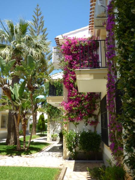 Diamond Vera Costa - Vera