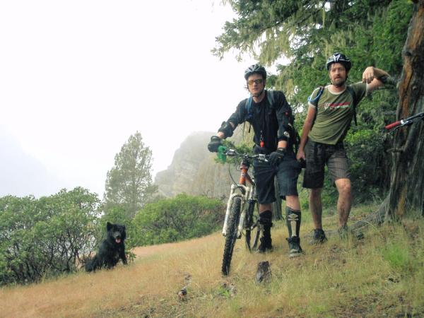 La Residence Da Caterina - Vittorio Veneto