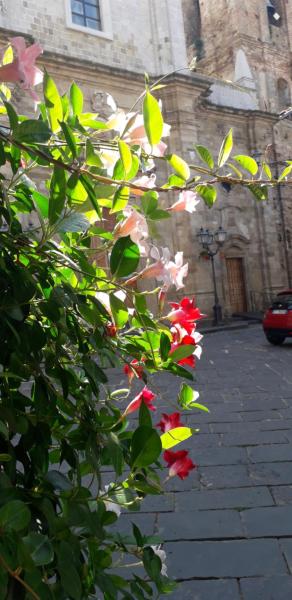 Nenet - Termoli
