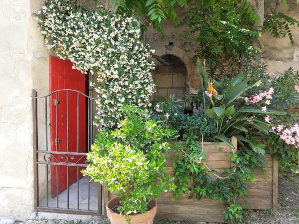 Chez Nathalie - Camargue