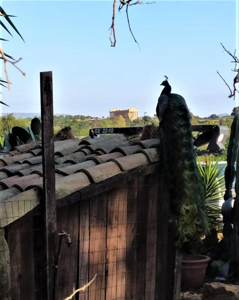 B&b Villa San Marco - Agrigento