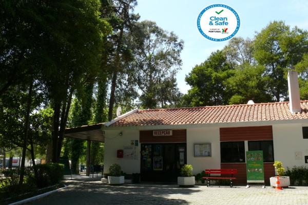Pandora Caminha - Vila Praia de Âncora