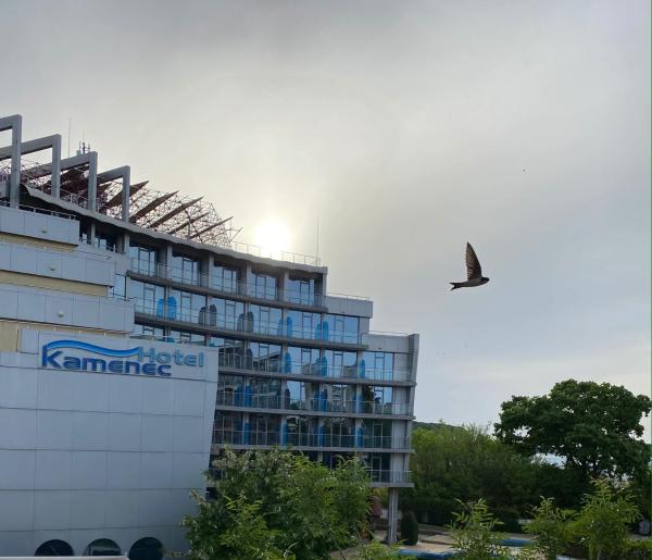 Hotel Kamenec - Kiten