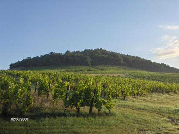La Maison Du Vigneron - Rhône