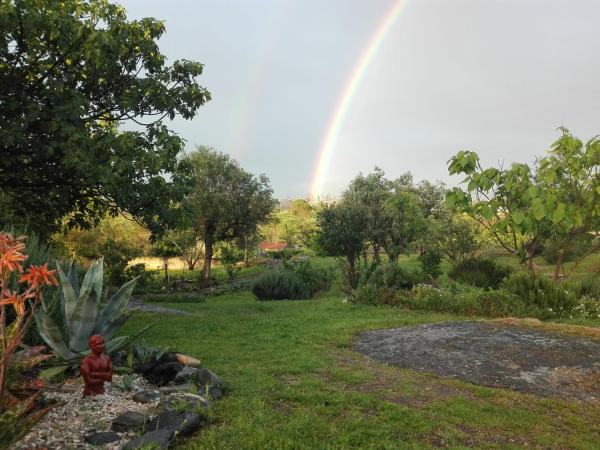 Quinta Sarnadela - Spacious 3 Bedroom House With In Beautiful Gardens - Carregal do Sal