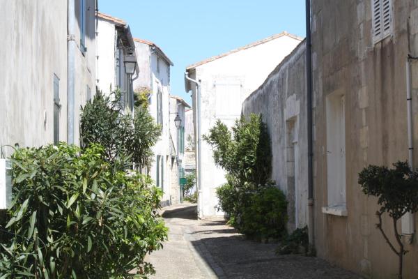 Les Chardons, - Sainte-Marie-de-Ré