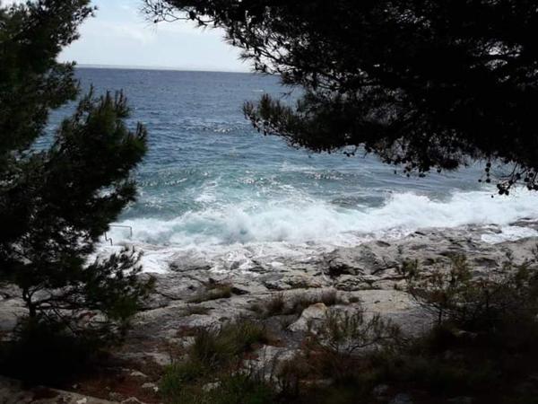 Murter Pod Raduč Apartman - Murter