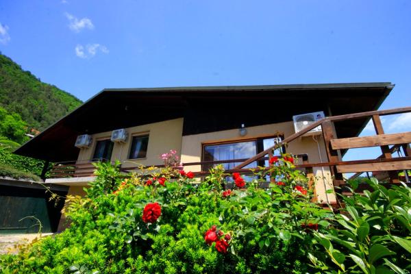 Na Kopitarjevi - Alpes