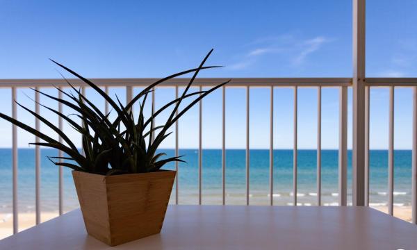 Apartamento Primera Línea De Playa - Daimuz