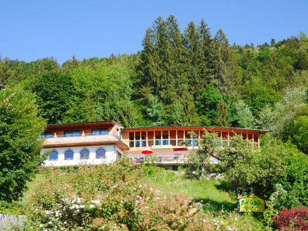 Be 550 - Alpbach