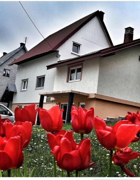 Apartment Balkan - Montenegro