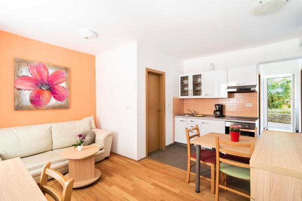 Apartments Medved In The Historic Center - Istrie