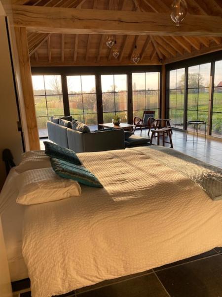 Pahilleke - United Kingdom