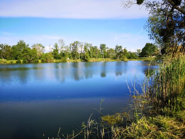 Gîte à La Campagne - Etat Nature - Meurthe-et-Moselle