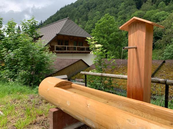 Haus Wiesengrund-fahl, Fewo 7 - Todtnau
