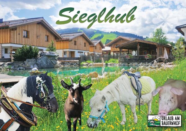 Sieglhub Chalets - Appartements - Hotel - Zauchensee