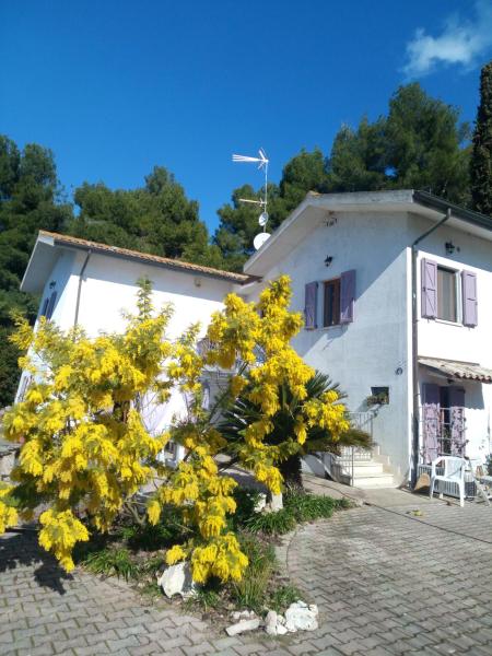 Bb Delcondotto - Sirolo