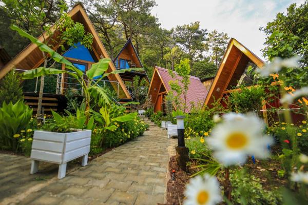 Likya Evleri Olympos - Turchia