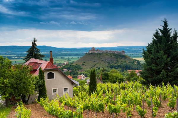 Tér Pince - Hungary