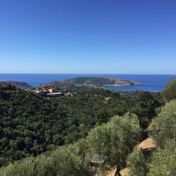 Casa Vacanze Domus - Marina di Camerota