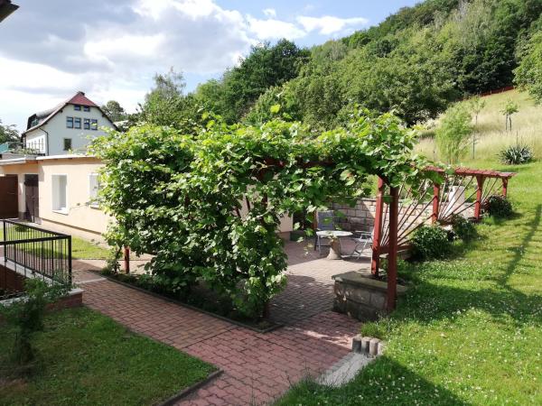 Ferienhaus Gänseblümchen - Gohrisch