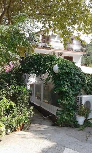Pansion Mimoza - Montenegro