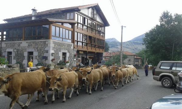 Posada El Mirador - Ramales de la Victoria